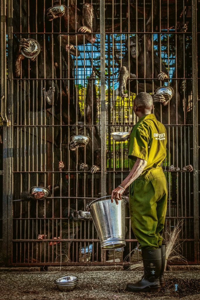 Anthony Ochieng, founder of TonyWild - #NatureForAll