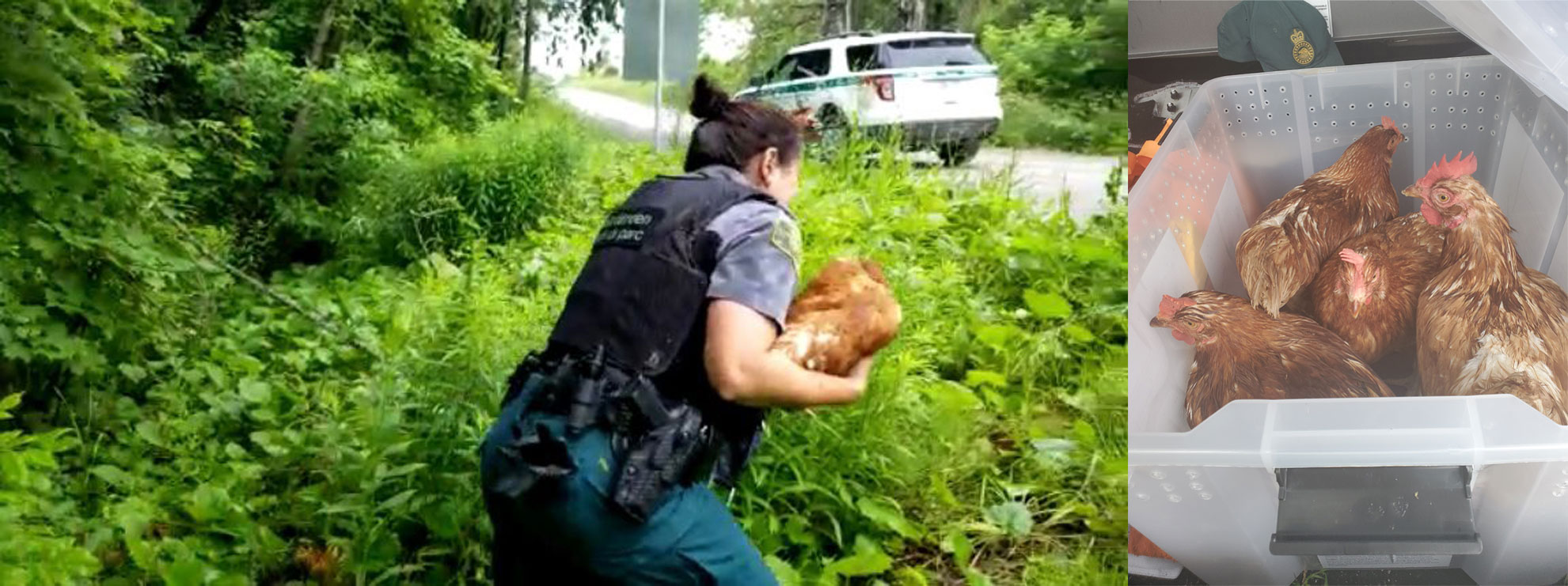 Working as a National Park Warden to protect Canada’s first National ...