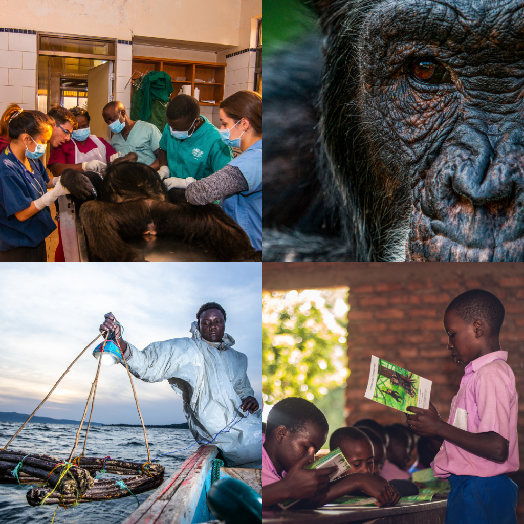 Anthony Ochieng, founder of TonyWild - #NatureForAll